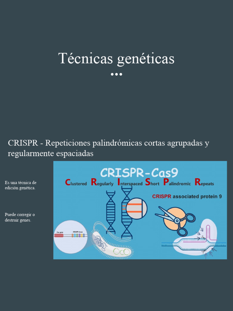 CRISPR | PDF