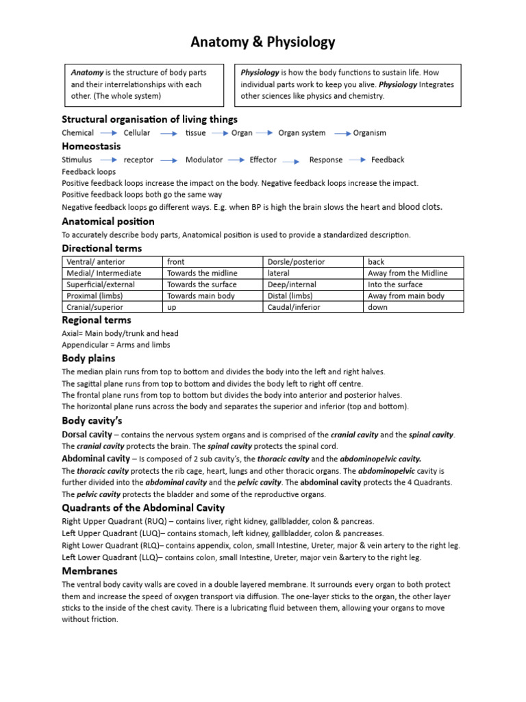 Anatomy and Physiology Notes | PDF | Anatomical Terms Of Location ...