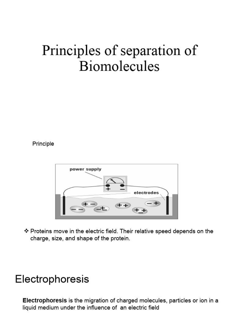 Principles of Separation of Biomolecules | PDF | Mass Spectrometry ...