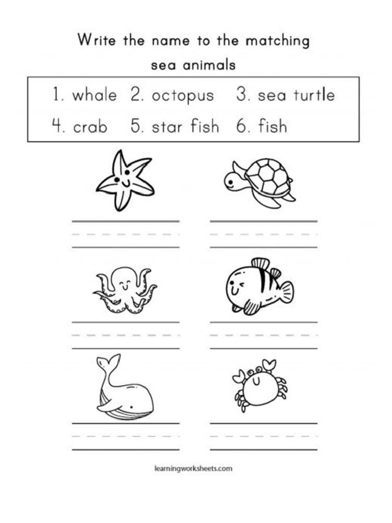 sea animals worksheet | PDF