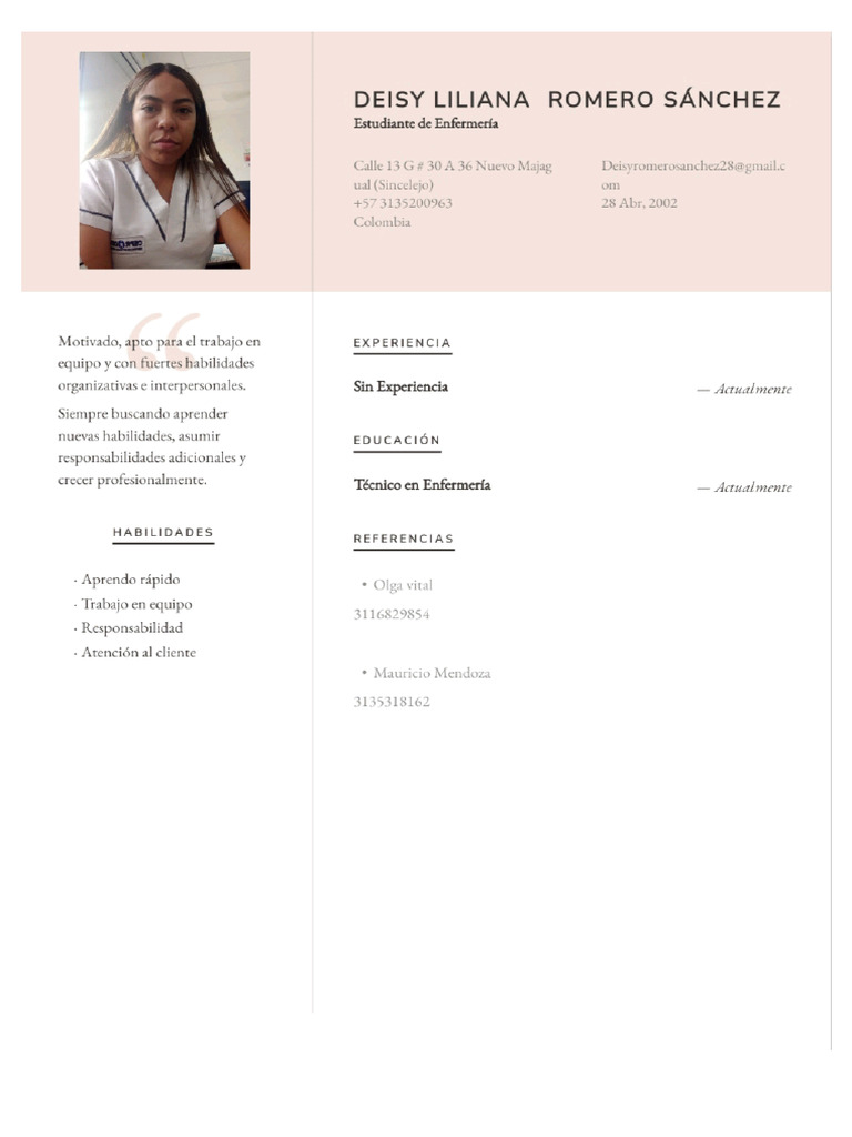 Hoja de Vida Deisy Romero | PDF