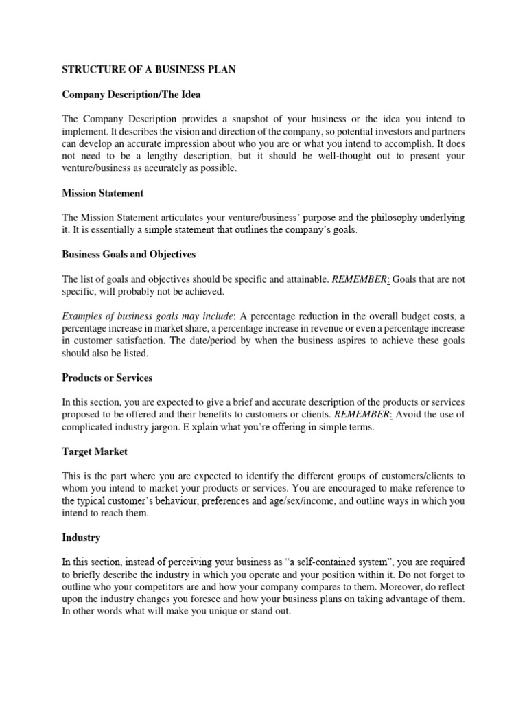 Business Plan Structure Guide | PDF