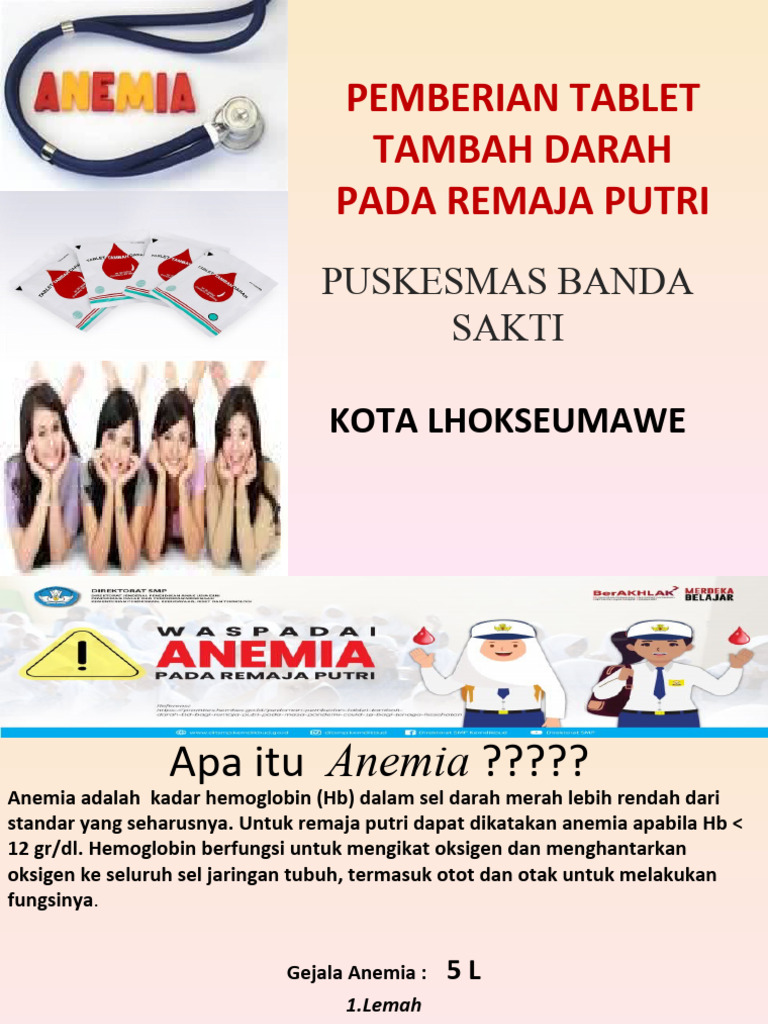 TTD Remaja Putri Ade Sofyan | PDF | Kesehatan Holistik