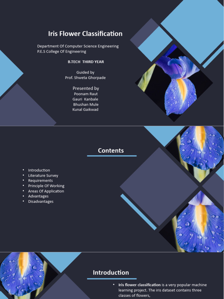 Iris Flower Classification | PDF