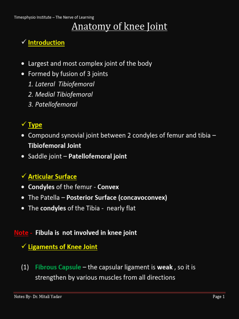 Anatomy of Knee Joint Final | PDF | Self-Improvement | Wellness