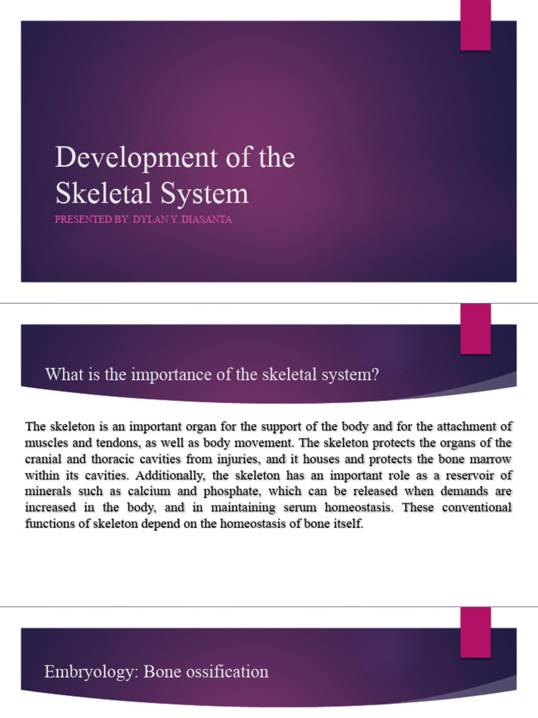 Development of The Skeletal System (Dylan Y. Diasanta) | PDF