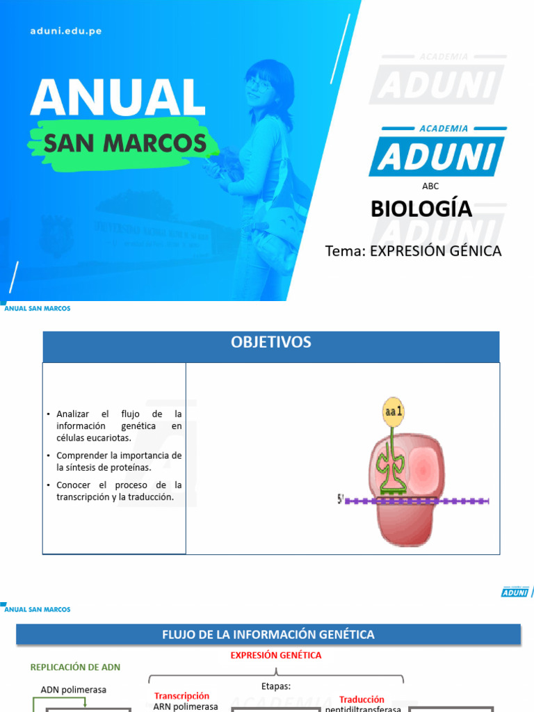 Asm Bi1 Ts010 | PDF | Rna | Traducción (biología)