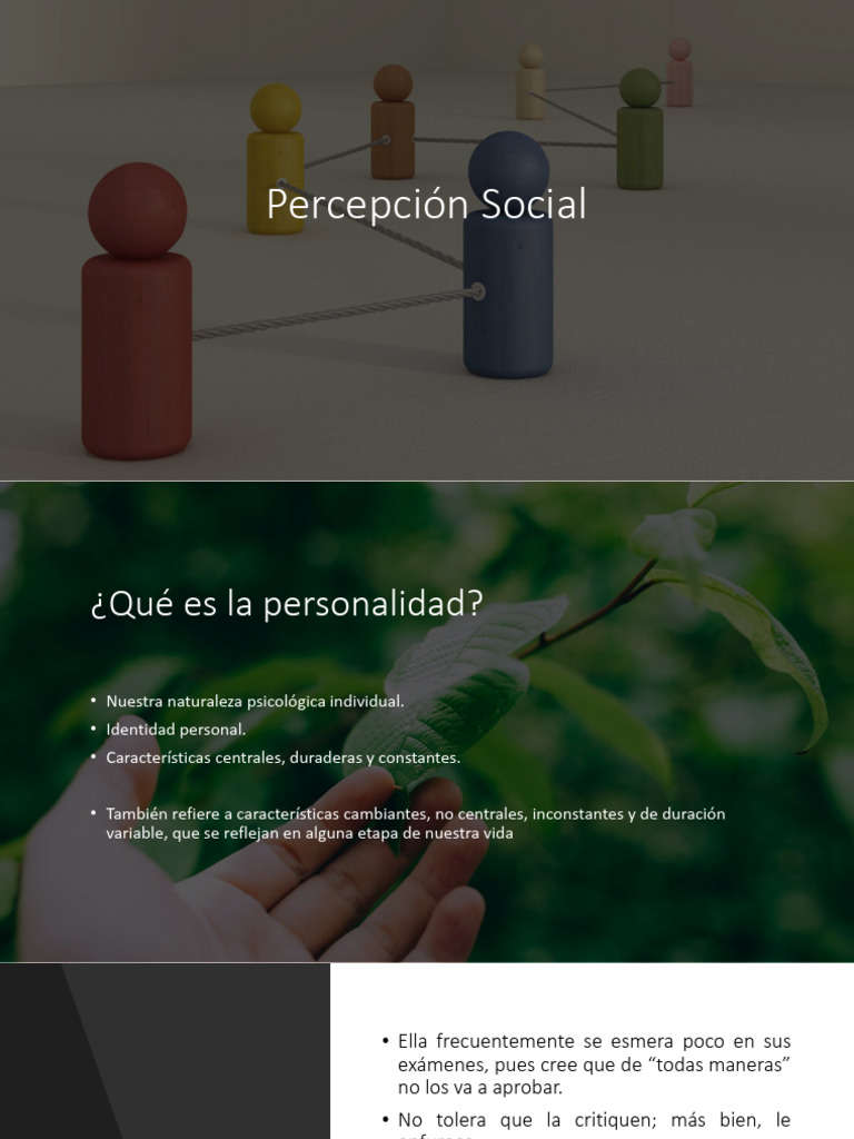 PPT Percepción Social | PDF