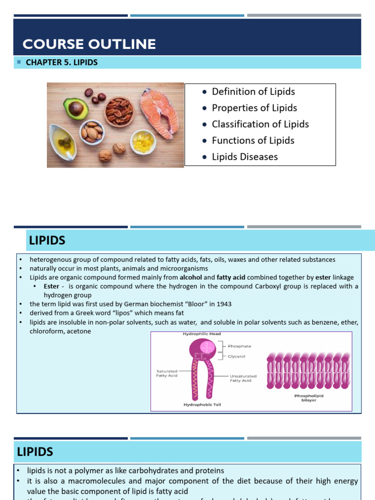 Lipids 1 | PDF | Lipid | Fatty Acid