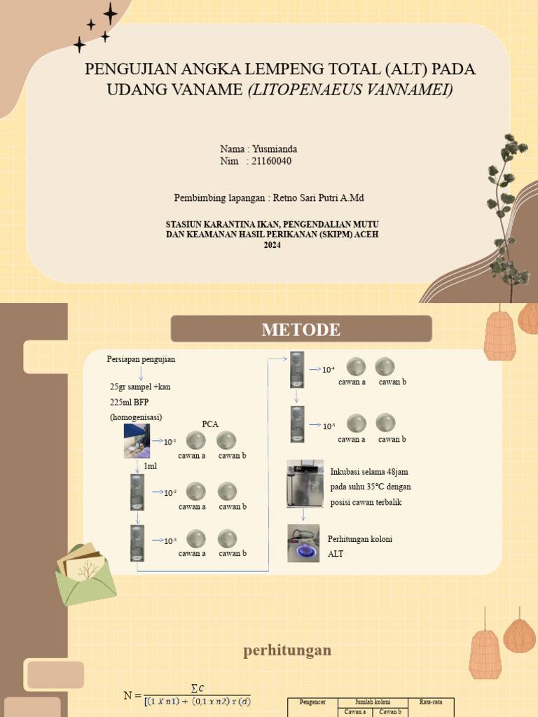 Mianda ALT | PDF