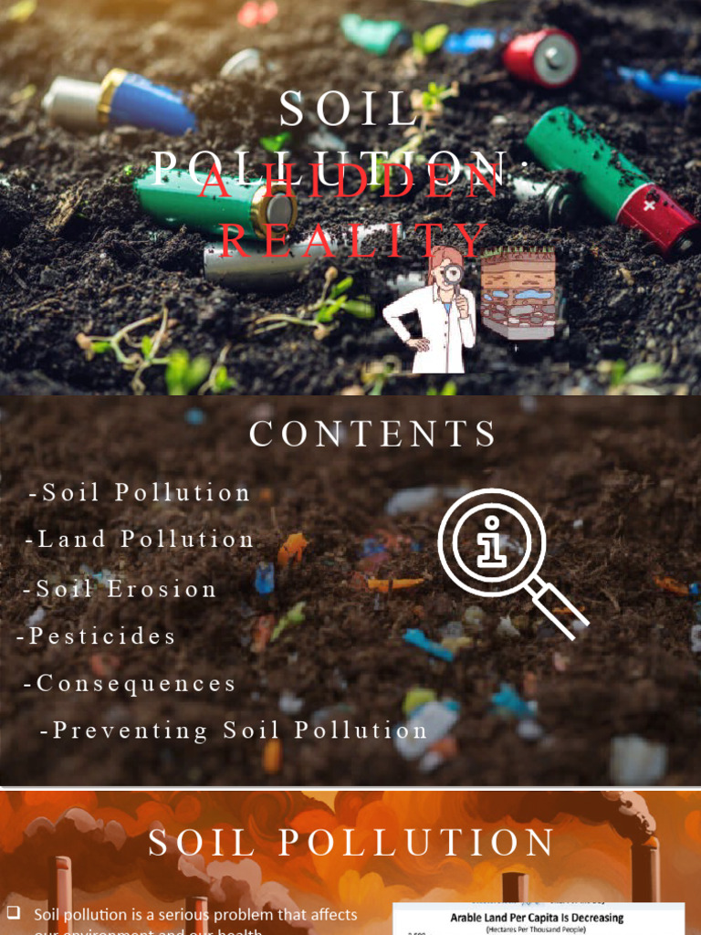 Soil Pollution Final Updated | PDF | Pesticide | Soil