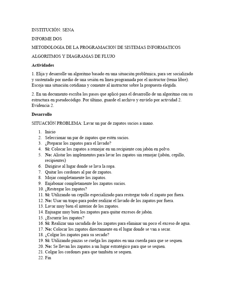 Informe SENA II | PDF