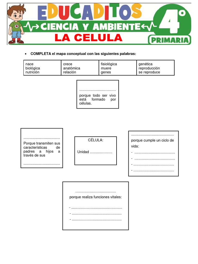 La Celula para Cuarto Grado de Primaria | PDF | Biología Celular ...