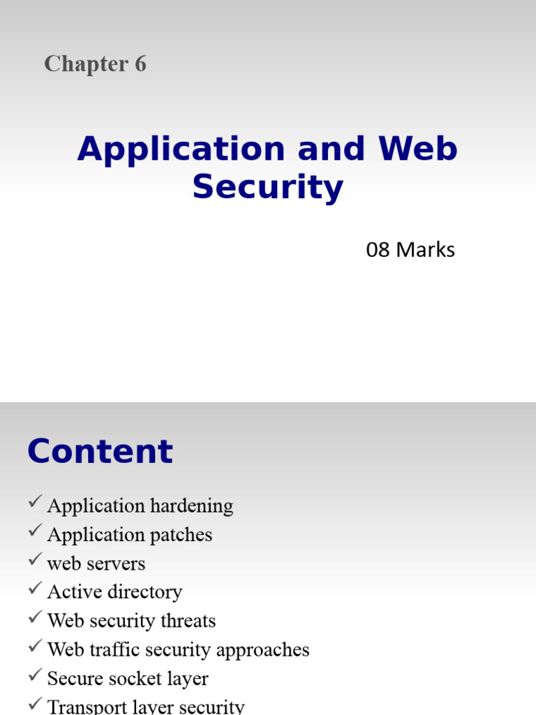 Chapter 6 Application and Web Security | PDF