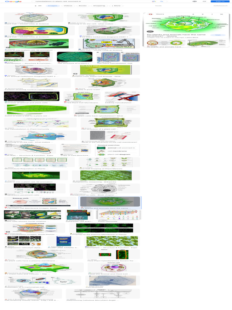 Cytoskeleton in Plant Cell Zoomed in - Google Search | PDF | Cell ...