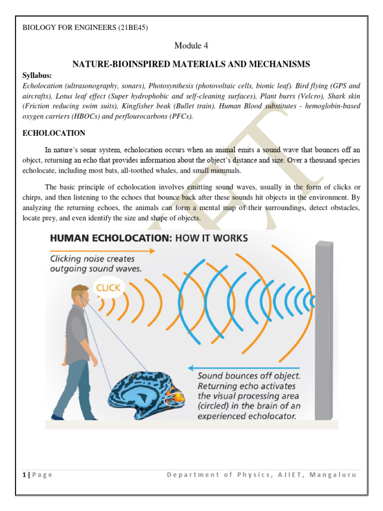 Module 4 Biology Notes 1 | PDF