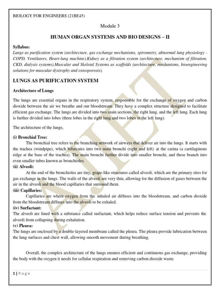 Module 3 Biology Notes | PDF | Lung | Chronic Kidney Disease
