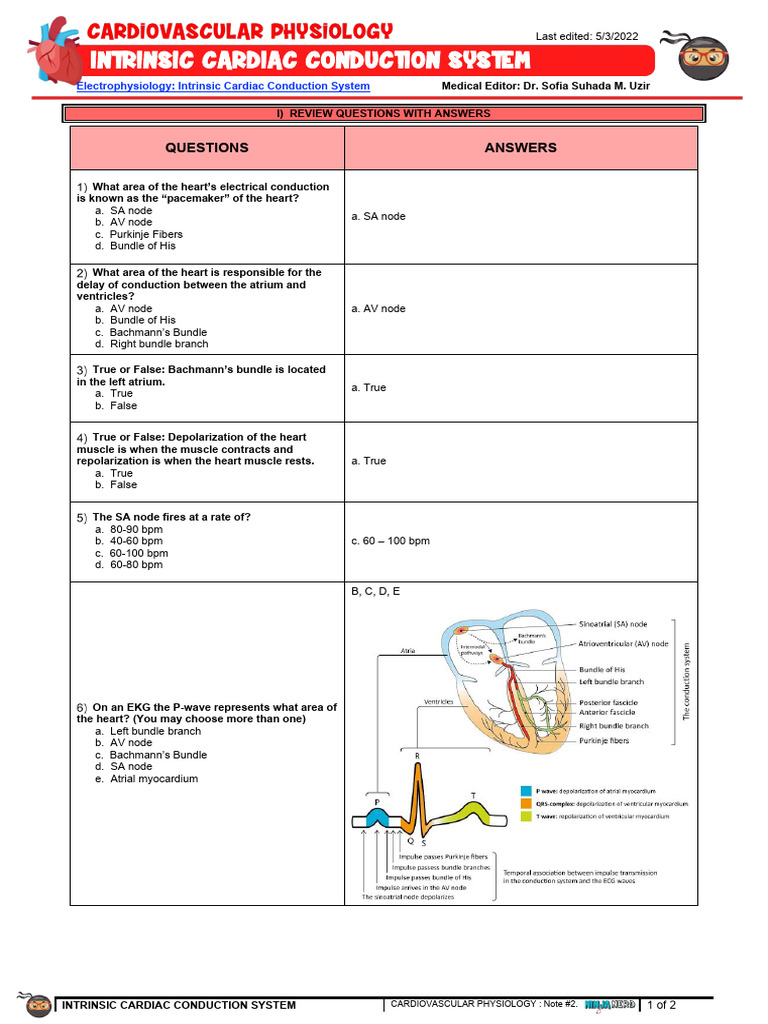 Intrinsic Cardiac Conduction System Guide | PDF | Heart | Endocrine System
