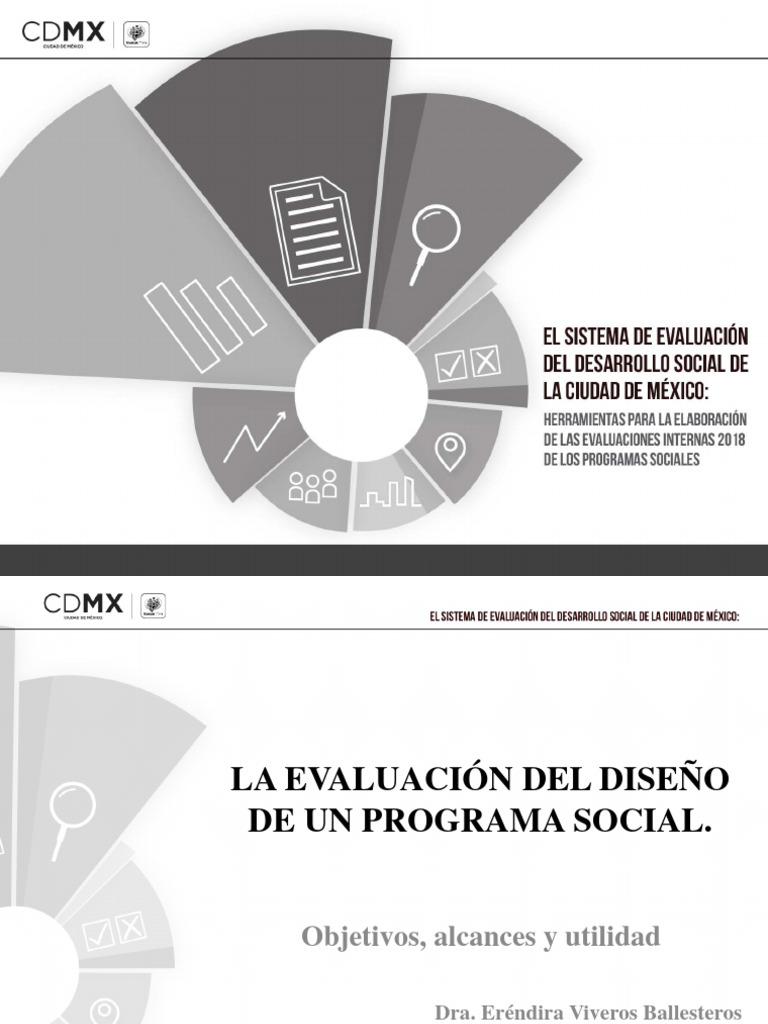 La Evaluacion Del Diseno de Un Programa Social | PDF