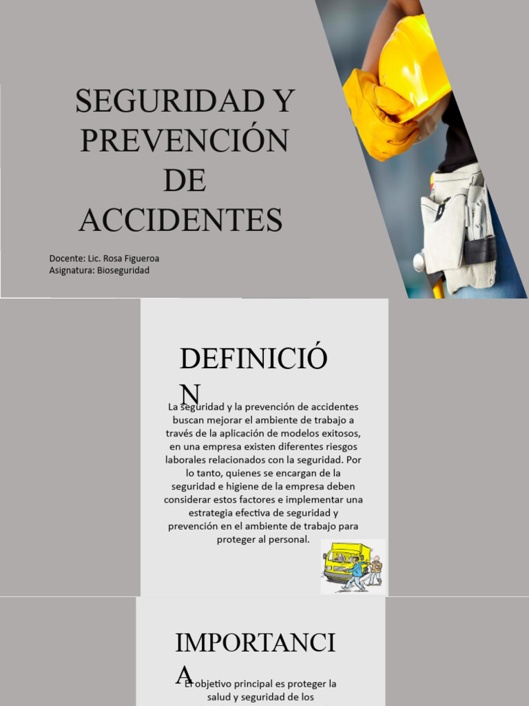 Seguridad Y Prevención De Accidentes Pdf