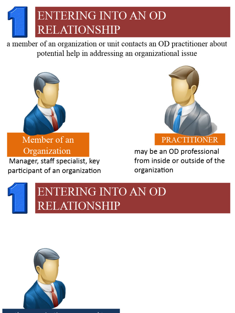 OD Process - Nessie | PDF | System | Organizational Behavior