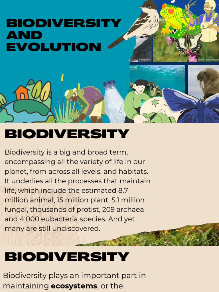 Biodiversity and Evolution | PDF