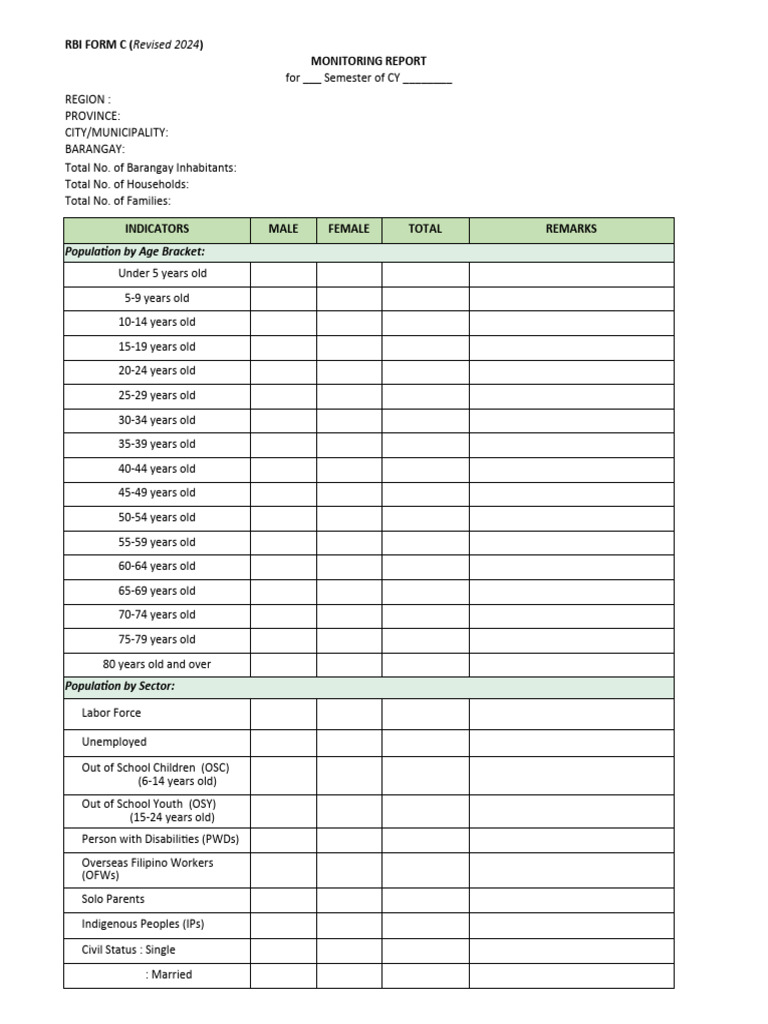 RBI FORM C Summary of Report Revised Age Bracketing - Revised 2024 | PDF