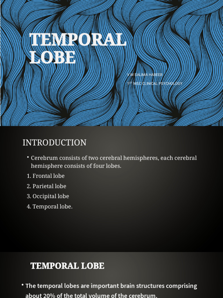 Temporal lobe | PDF | Temporal Lobe | Hippocampus