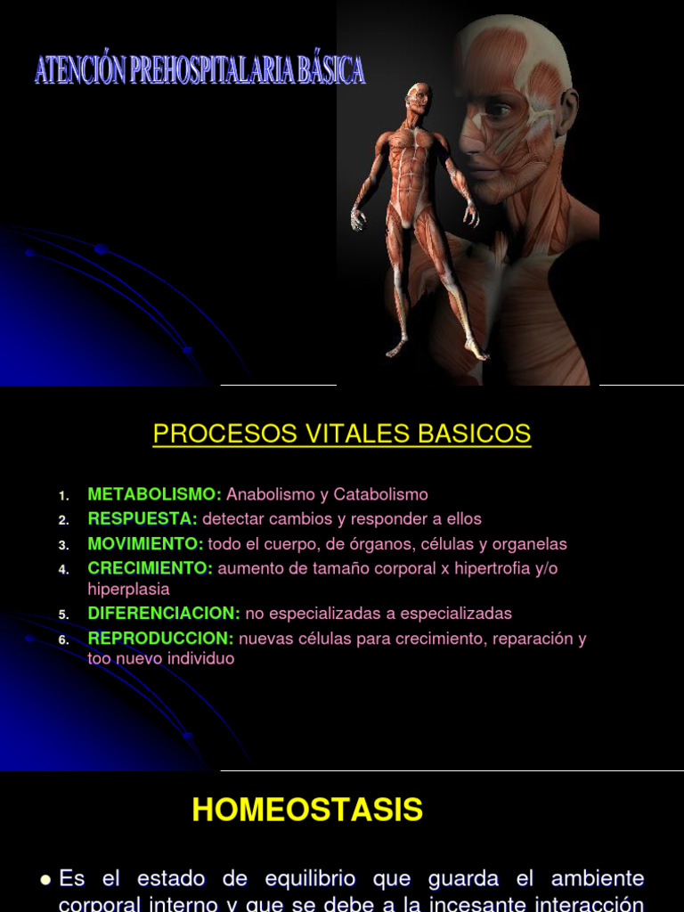 S2 Clase Homeostasis Aphb 2023 | PDF | Solución tampón | Membrana celular