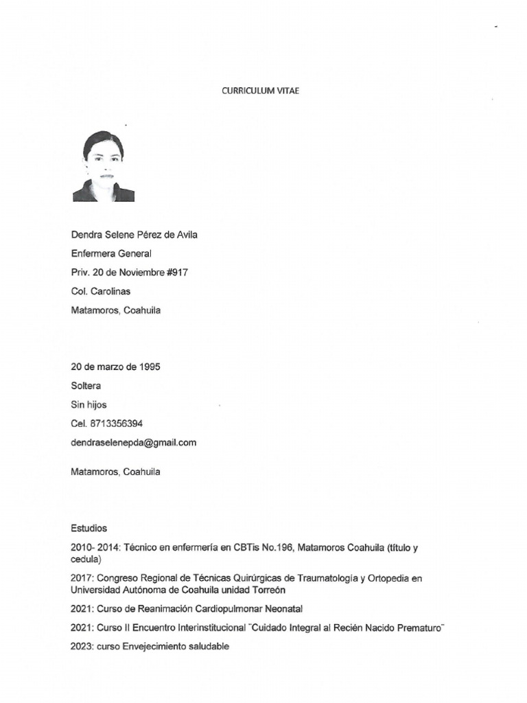 CV 1 - cv2 - Merged | PDF