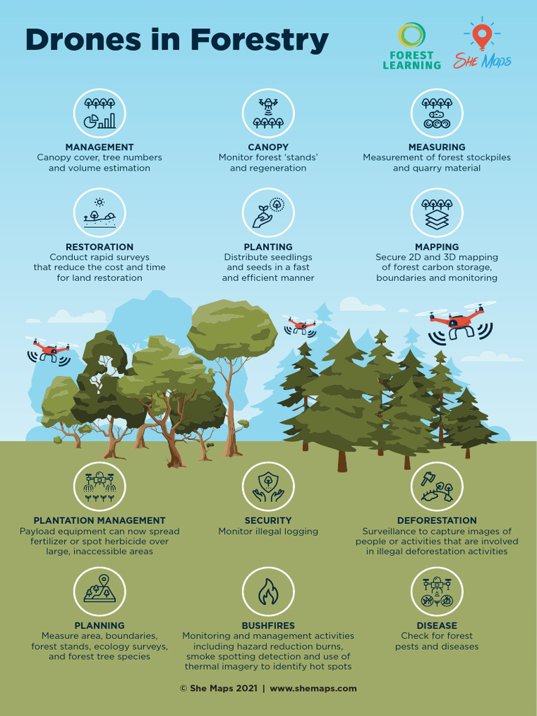 Drones In Forestry Infographic Web Pdf