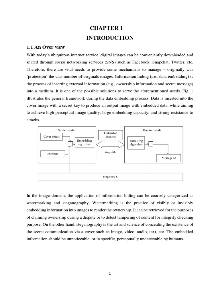 Coding Project 2 Pdf Software Testing Unit Testing 2795