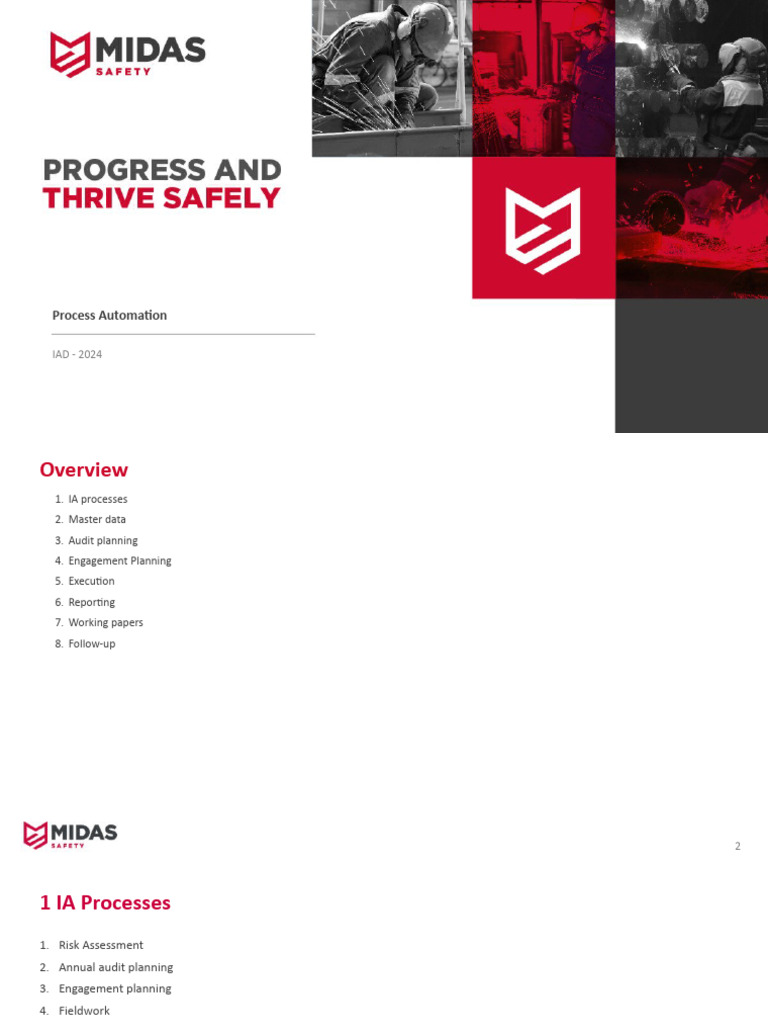 IAD Automation Process | PDF | Auditor's Report | Audit