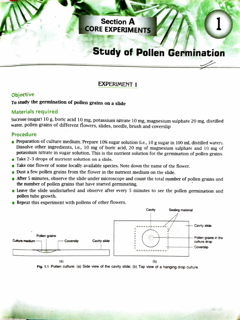 Biology Practical Lab Manual | PDF