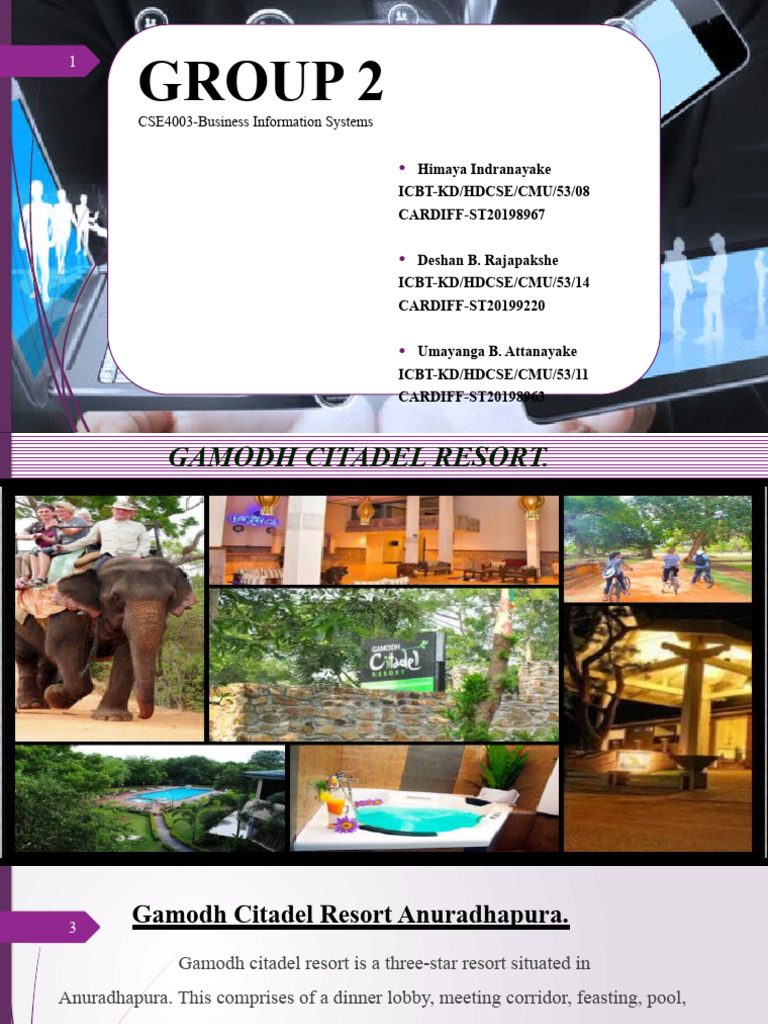 BIS Presentation (1) With Reffrence | PDF | Enterprise Resource ...