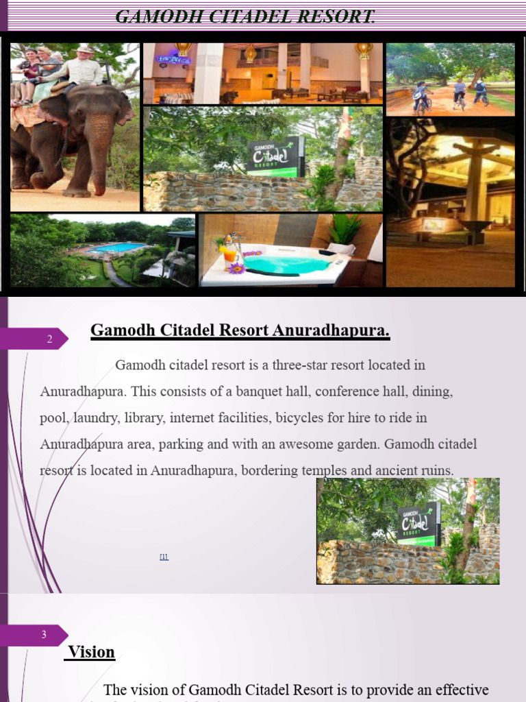 BIS Presentation - IT48 - Group4 | PDF