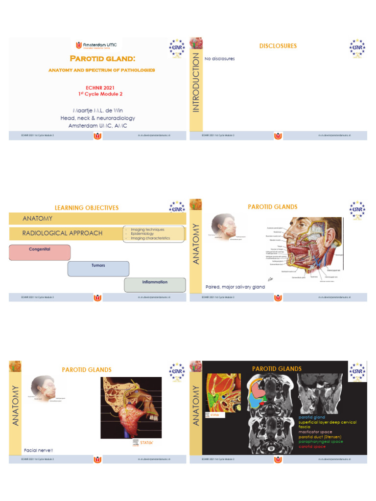 24465-Parotis Gland Lecture MdWin | PDF | Adenoma | Magnetic Resonance ...