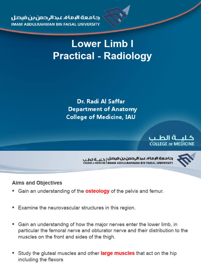 Lower Limb I Practical - Radiology: Dr. Radi Al Saffar Department of ...
