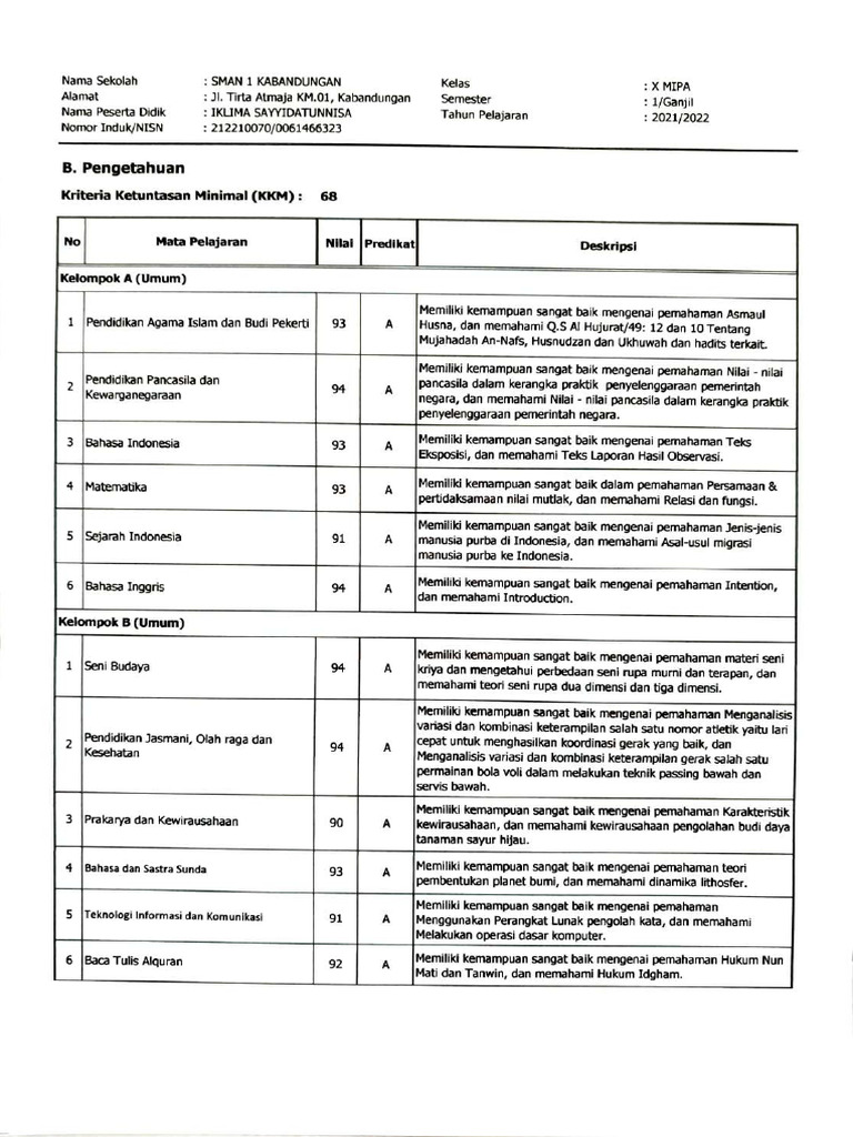 RAPORT SCAN Compressed | PDF
