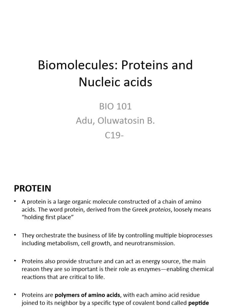 BIO 101 - Proteins and Nucleic Acid | Download Free PDF | Dna | Rna