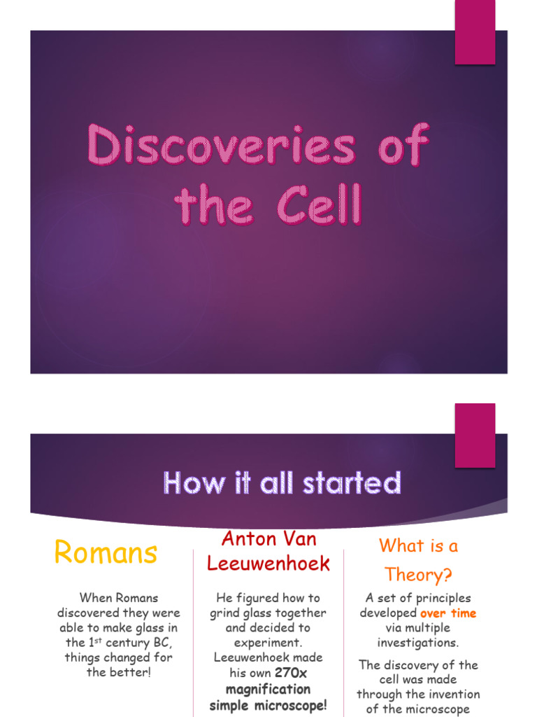 Cell The Cell Structures | PDF | Endoplasmic Reticulum | Cell (Biology)