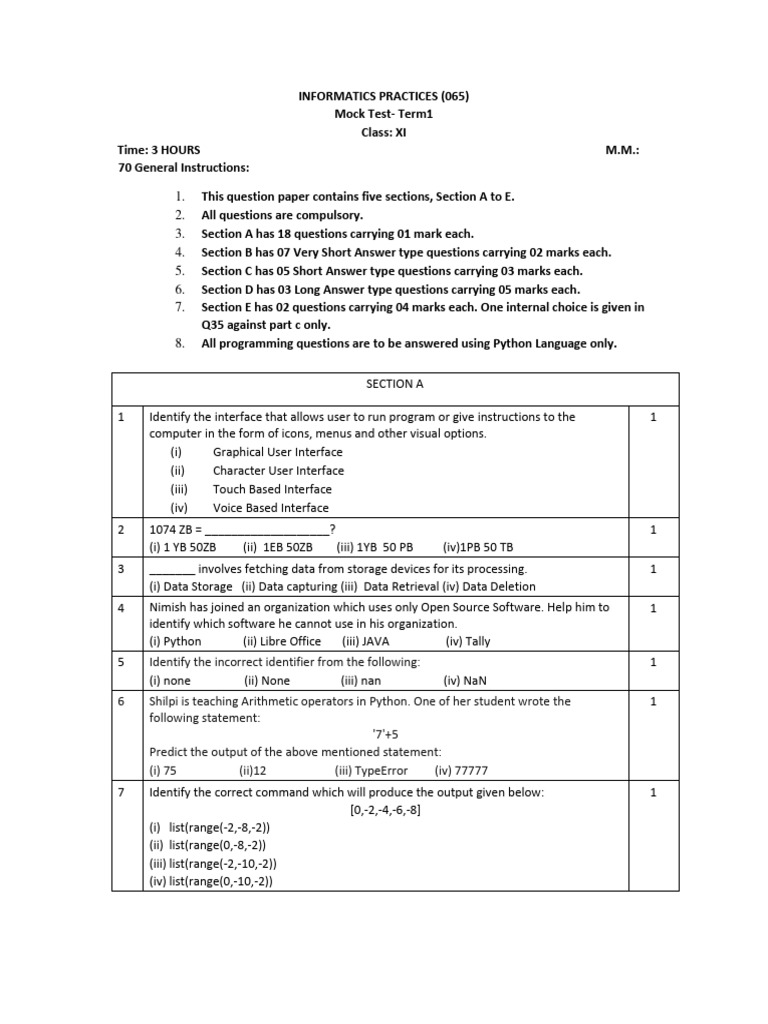 IP Mock Test Class 11 | PDF
