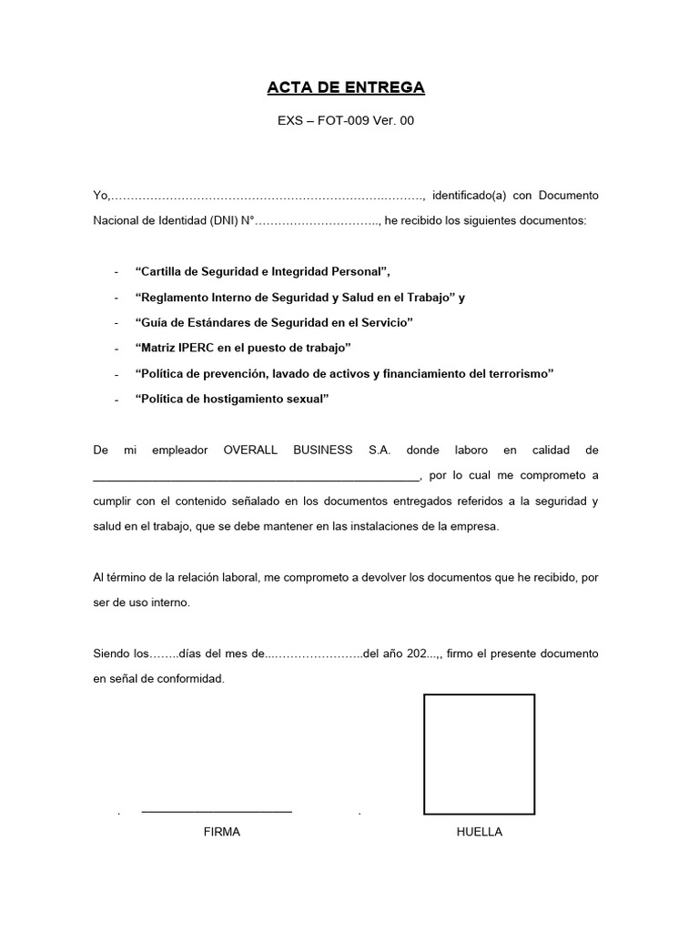 Formato de Acta de Entrega Risst 2024 | PDF
