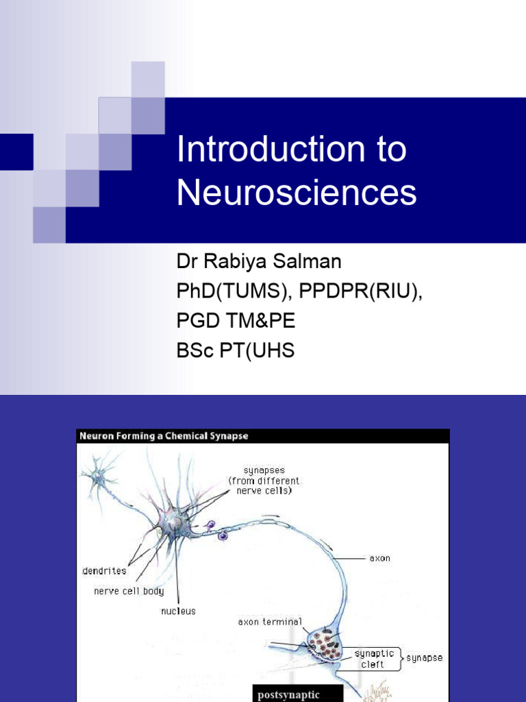 Action Potential | PDF | Chemical Synapse | Action Potential