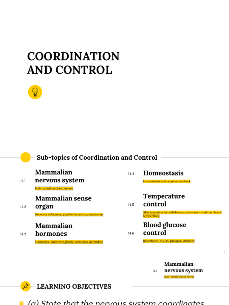 14 Coordination and Control | Download Free PDF | Neuron | Central Nervous System