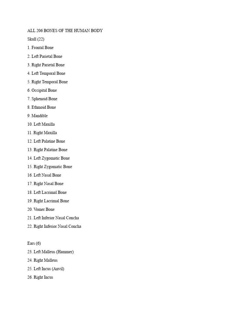 Complete List of 206 Human Bones | PDF | Vertebra | Toe