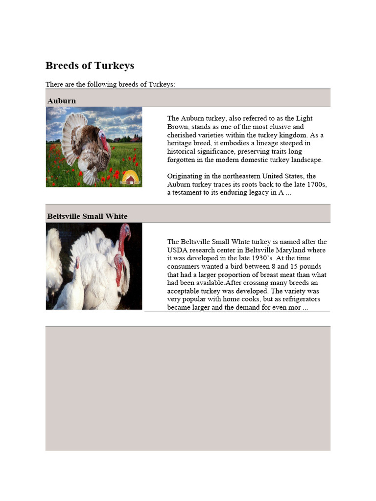 TURKEY | PDF | Chicken | Poultry