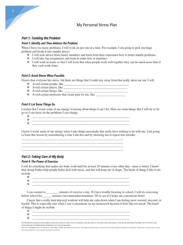 My Personal Stress Plan | PDF | Eating | Stress (Biology)