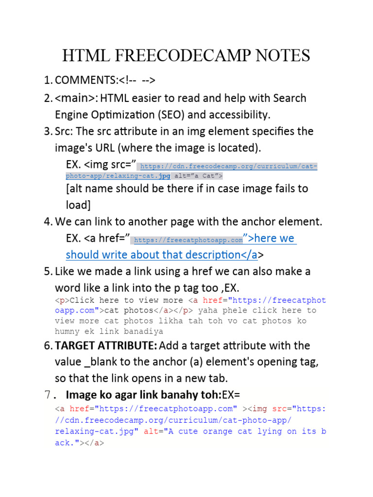 HTML Freecodecamp Notes | PDF