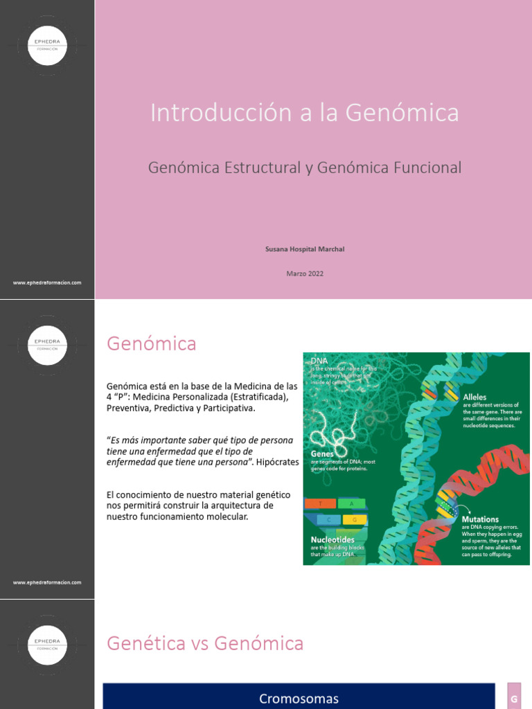 Genómica Estructural y Funcional - PPT | PDF | Regulación de la expresión génica | Genoma